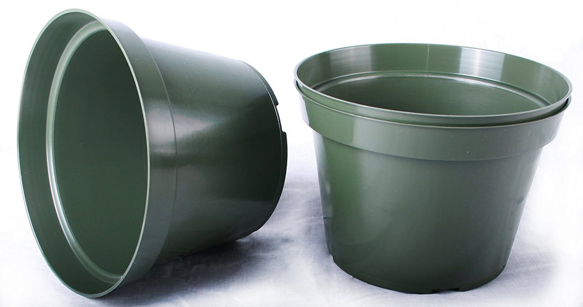 POT - AZALEA - GREEN Round – Mr. Fertilizer