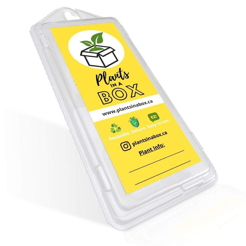 Plants In A Box (Clone Shipper) – Mr. Fertilizer